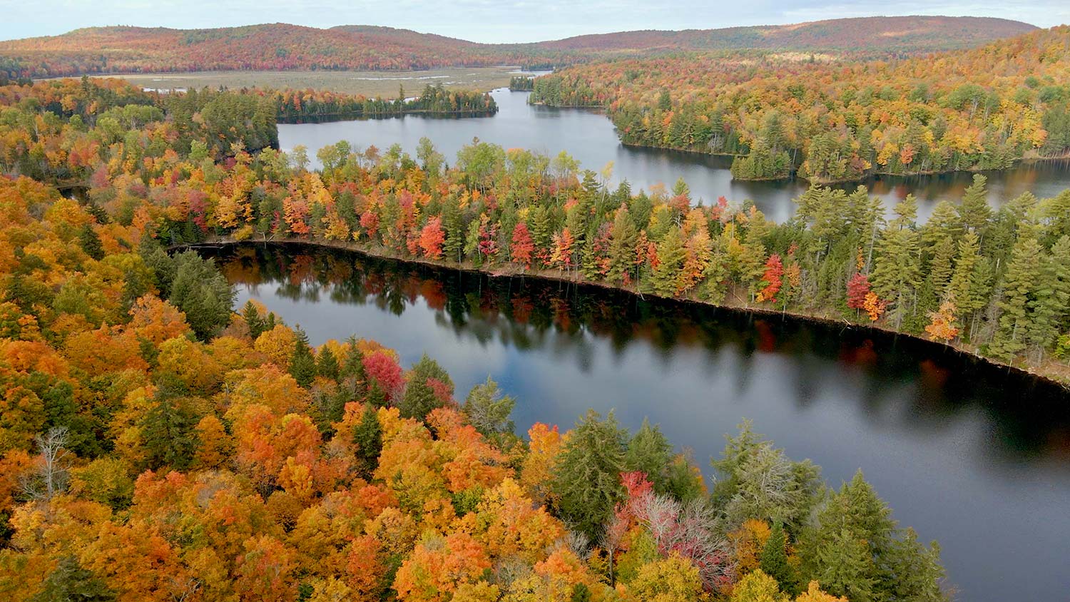 Thank You - Twin Ponds Preserve